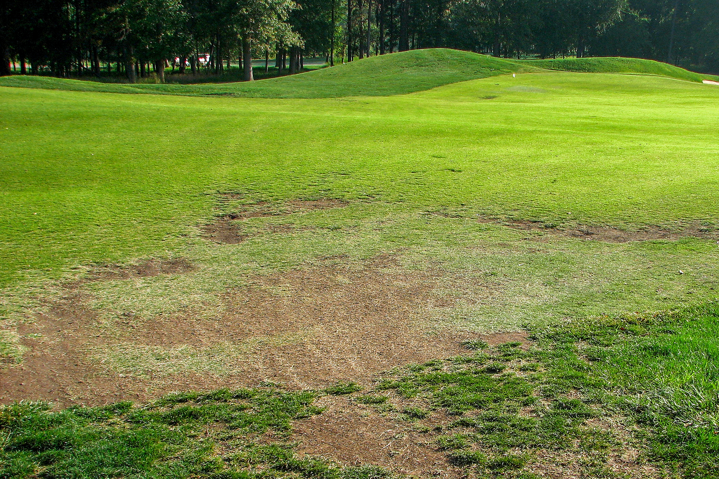 Avoiding Self-Inflicted Damage From Mechanical Injury
