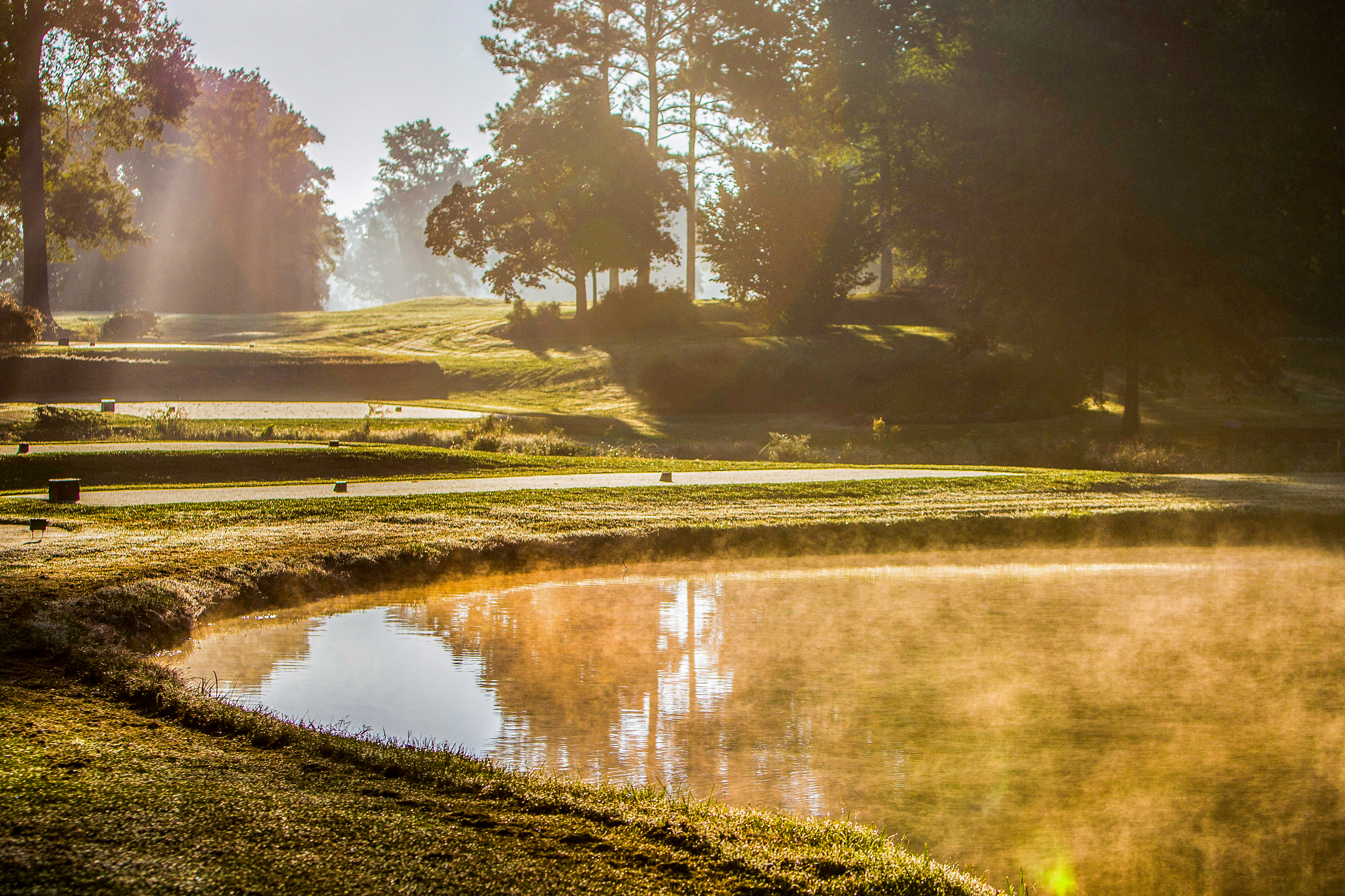 Golf Course Ponds Need Maintenance Too