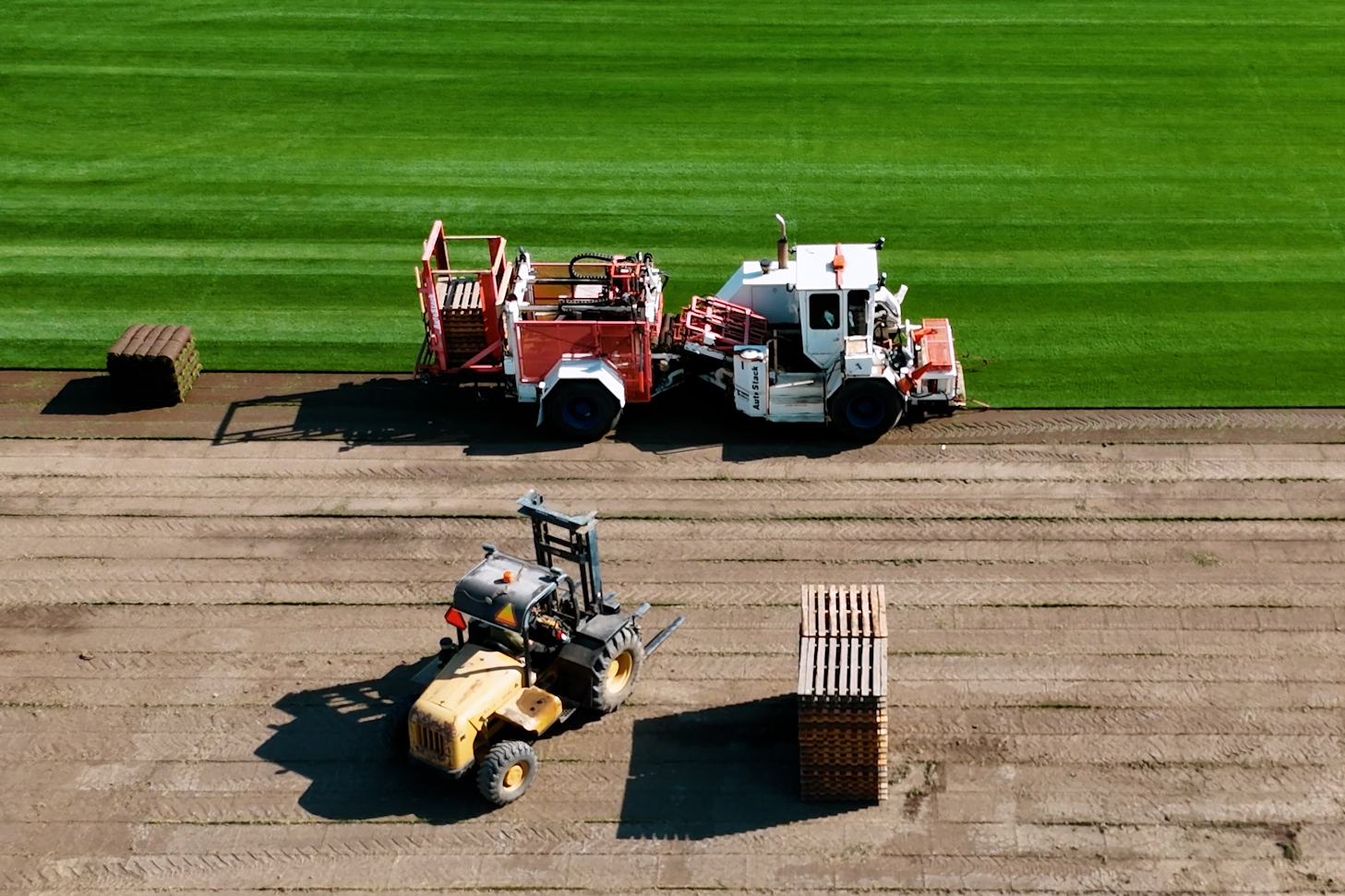 From Farm to Fairway: How We Get Better Grasses for Golf