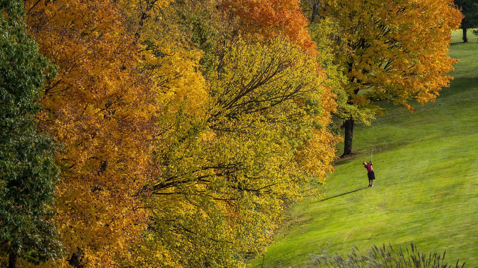 Rules Guide to Fall Golf
