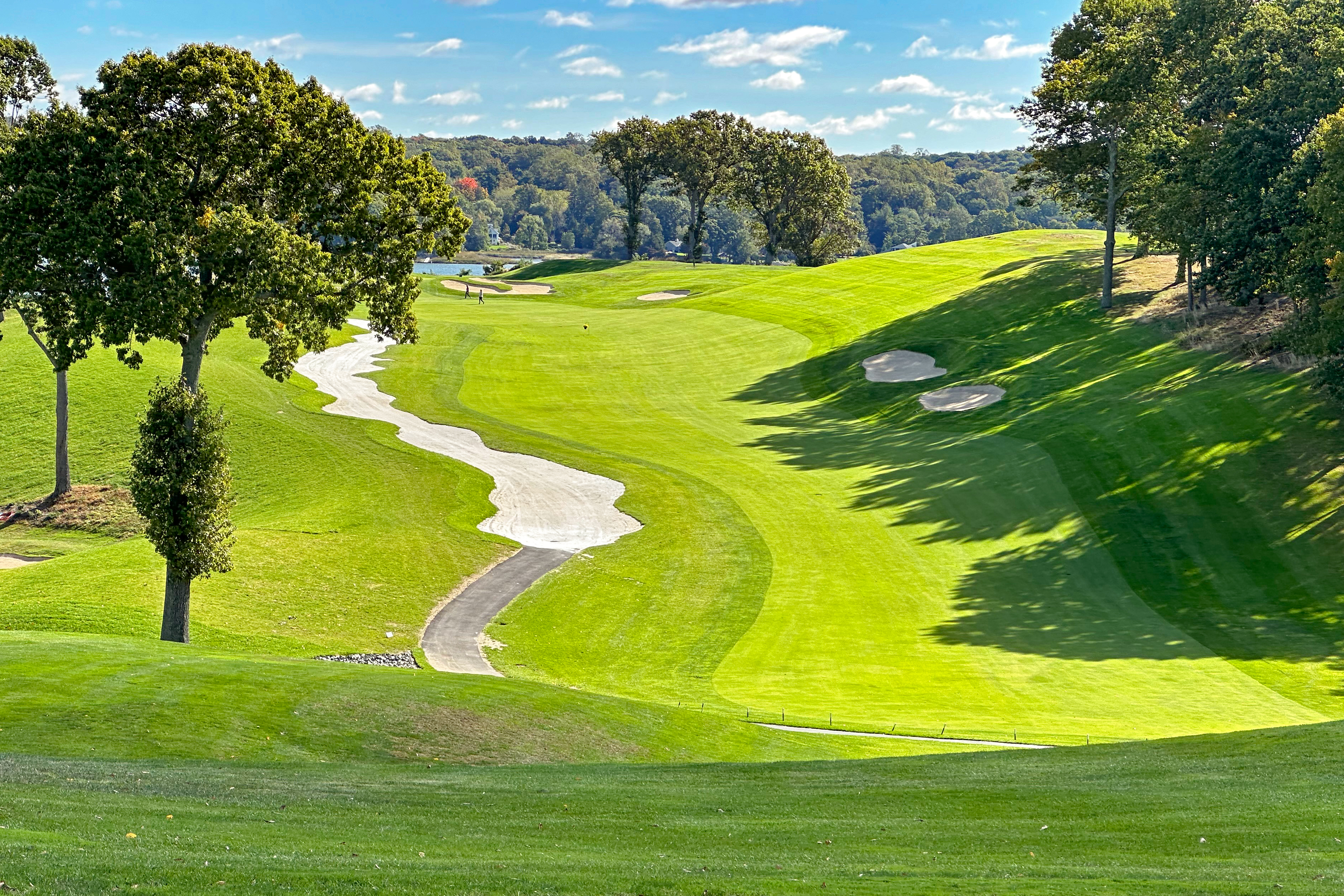 Creative Cart Paths