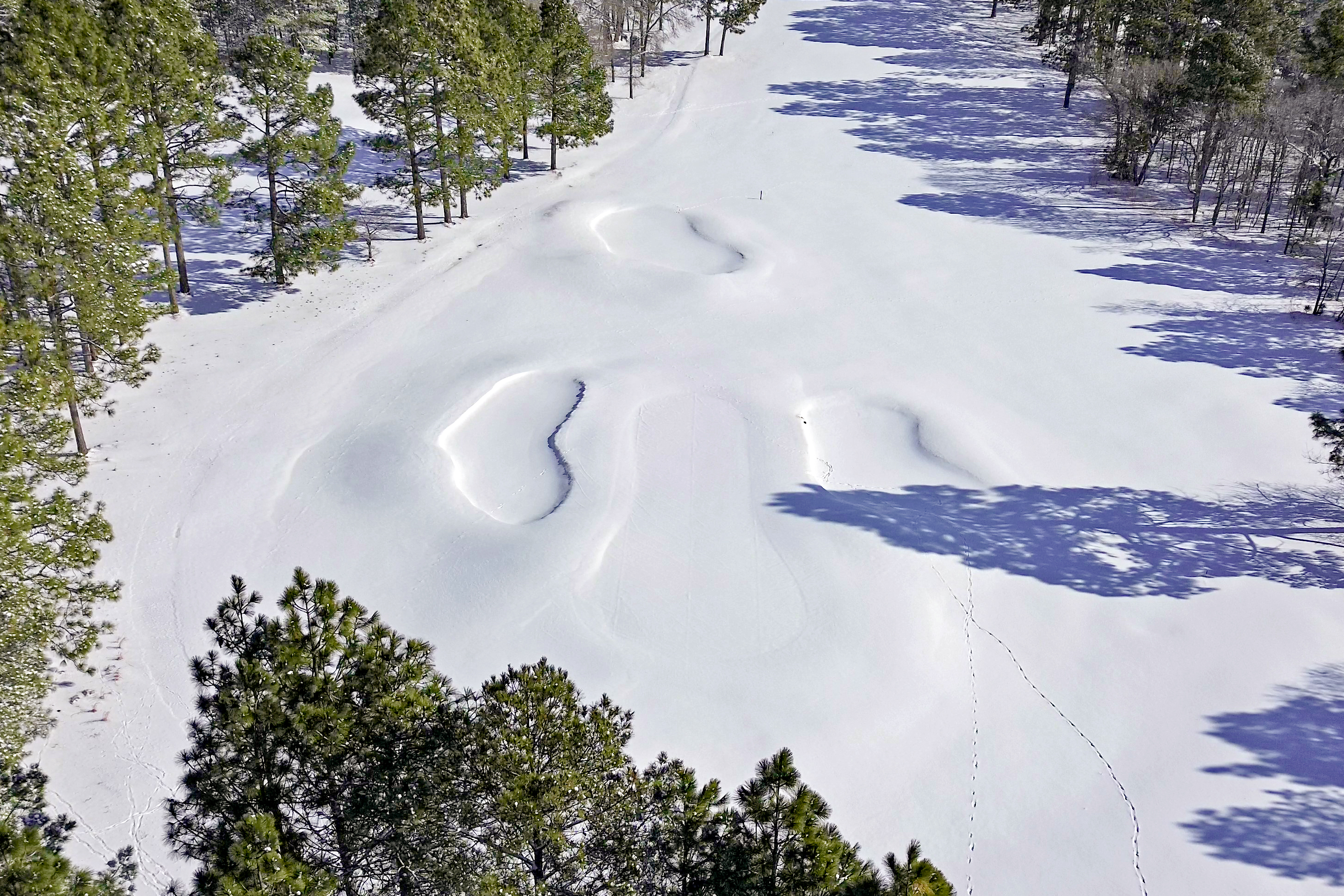Cold Courses and Conference Camaraderie