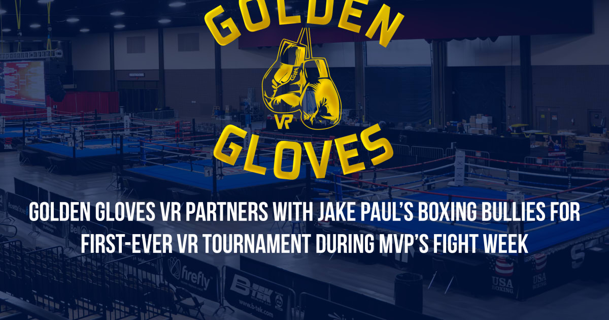 Golden Gloves VR, the Official Esports Platform for USA Boxing ...