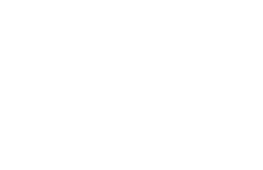 USA Bobsled-Skeleton | Olympic Teams