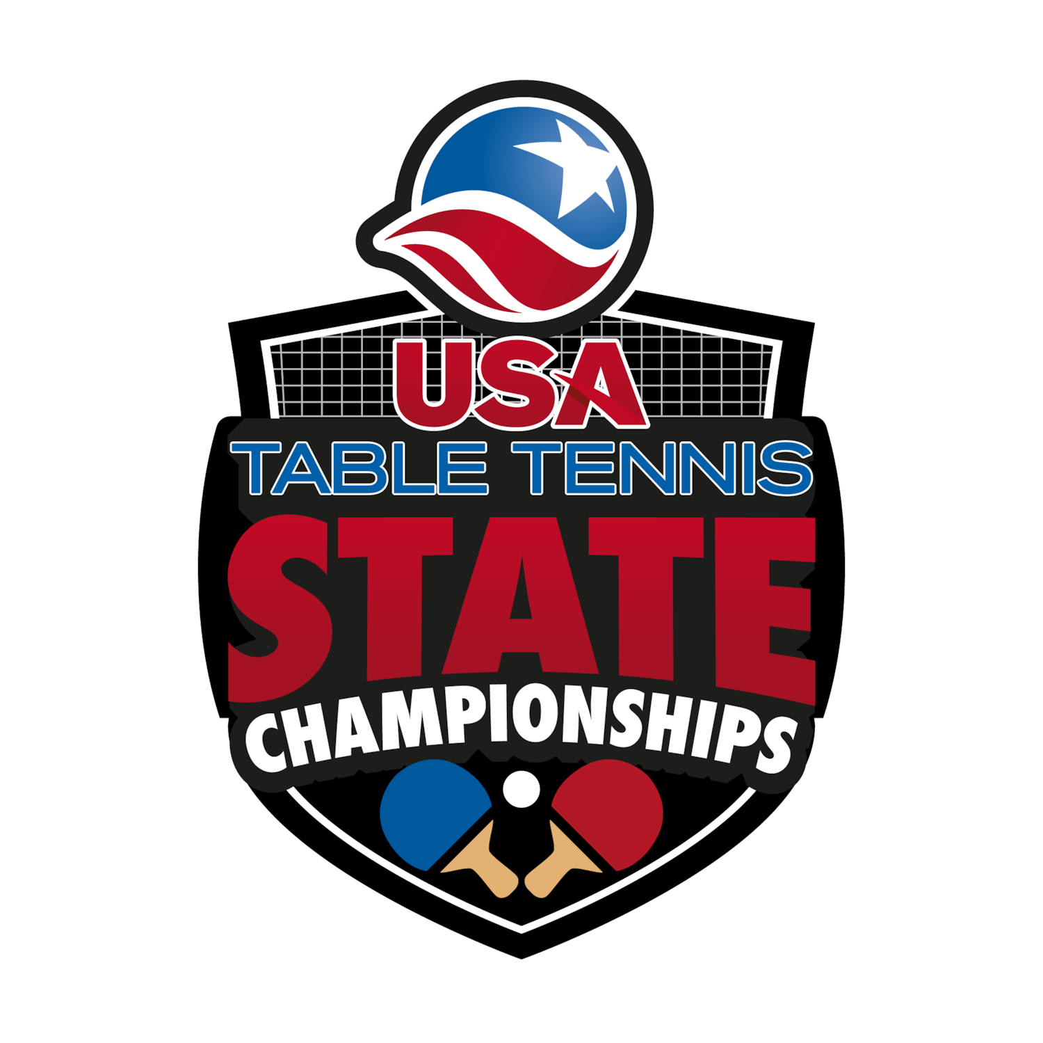 Usa Ping Pong Logo