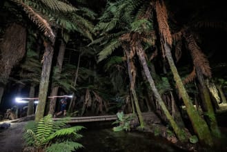 UTMB Live - Tarawera Ultra-Trail by UTMB 2025