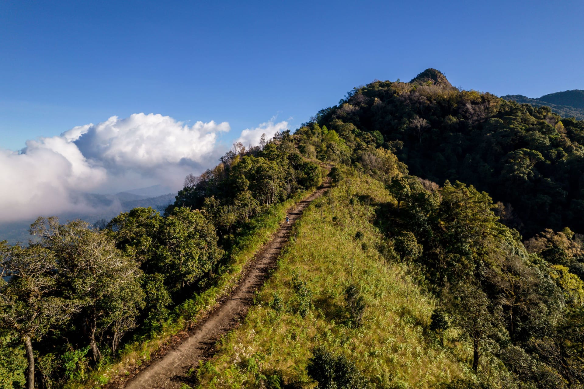 UTMB Live - Doi Inthanon Thailand by UTMB® 2023 - Search