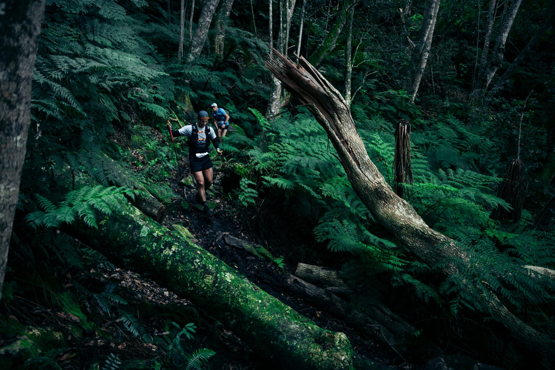 UTMB Live - Mountain Ultra Trail by UTMB 2025 - MUT Challenge