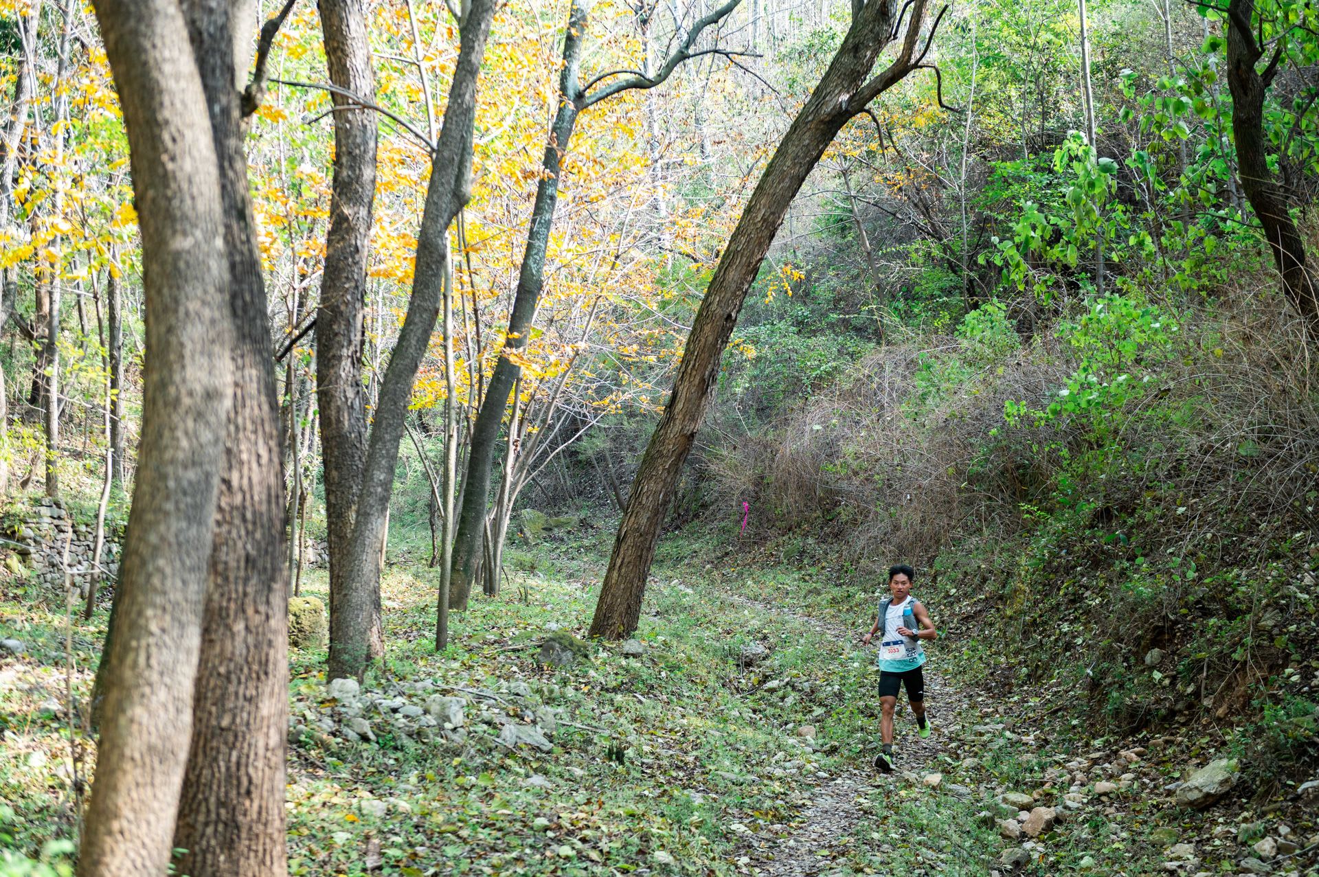 UTMB Live - Ultra-Trail Mount Yun by UTMB® 2025 - EMY