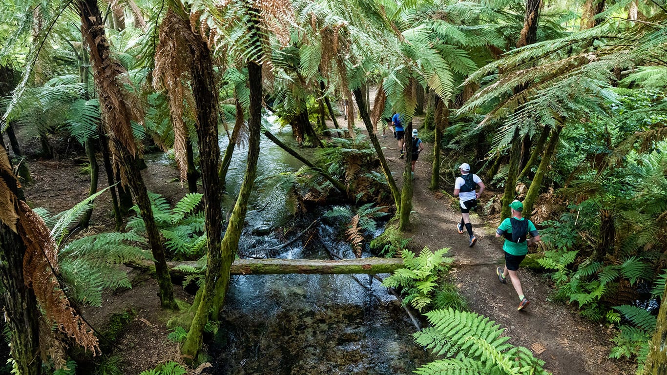 UTMB Live - Tarawera Ultra-Trail by UTMB 2025