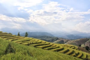 Ultra-Trail Mount Yun by UTMB®