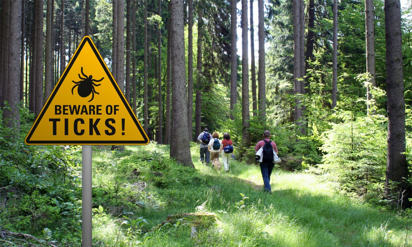 Be safe outdoors during tick season | News | UW Health