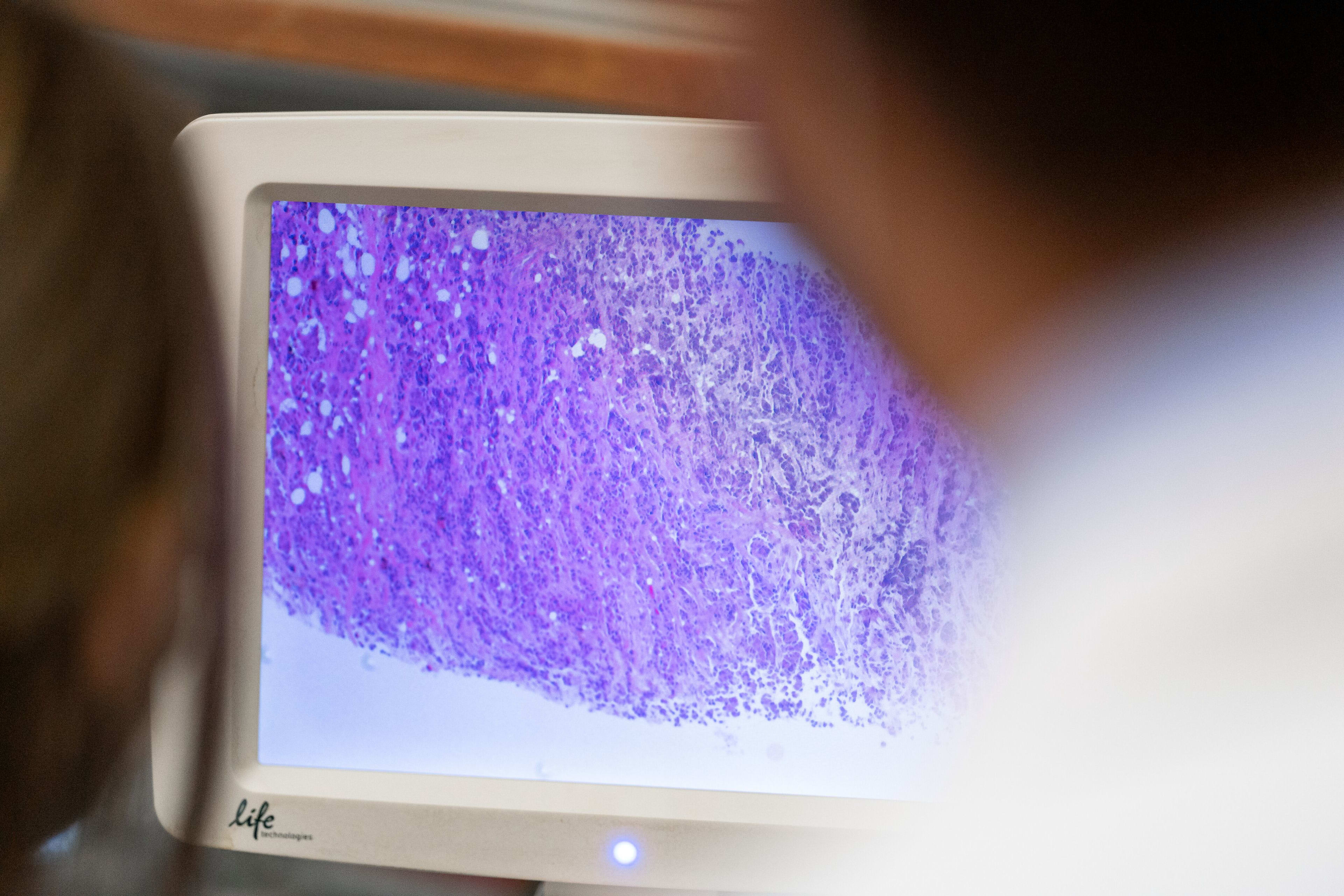 Celebrating innovation in the lab | News | UW Health