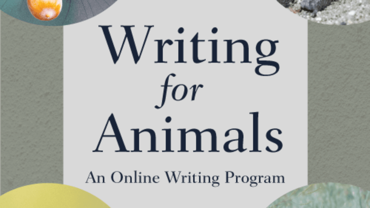 Writing for Animals: A talk with the writers behind it