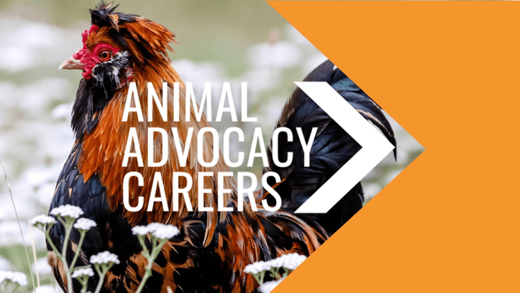 Animal Advocacy Careers: Helping you help the animals