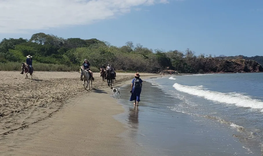Brasilito, Costa Rica | Authentic Beach Town in Guanacaste