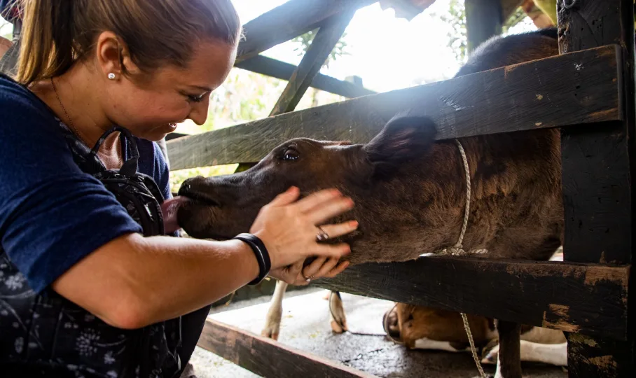 Traditional Farm Experience in Costa Rica - Family Tour