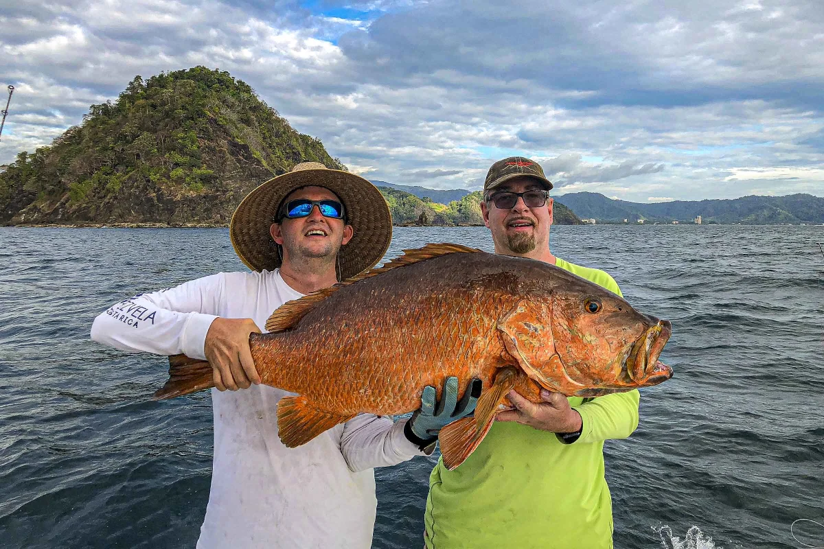 Cubera Snapper Costa Rica - Book Your Costa Rica Inshore Fishing Trip