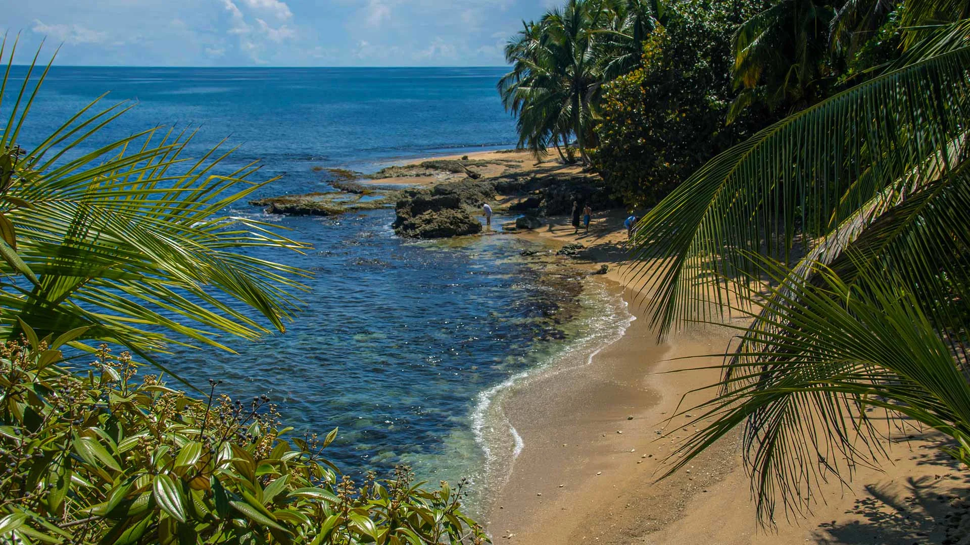 Costa Rica Vacations | 100% local Costa Rica travel agency