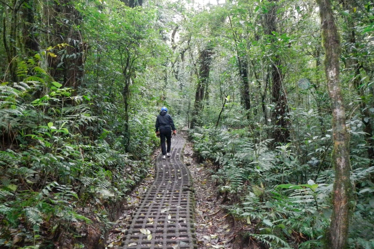 Hiking in Costa Rica: VIsit National Parks and Waterfalls