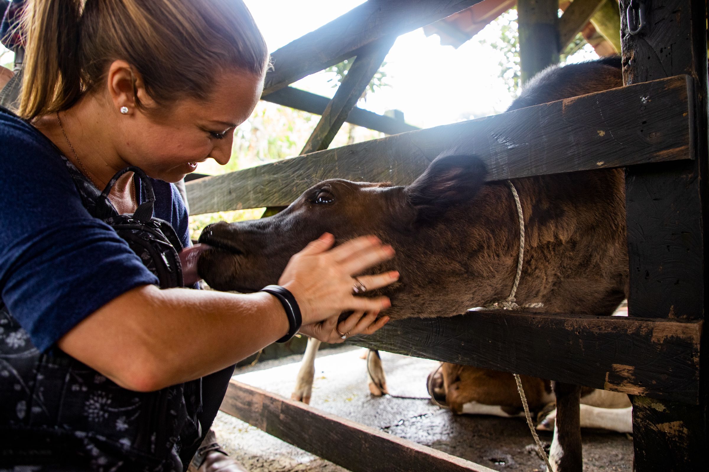 Traditional Farm Experience in Costa Rica - Family Tour