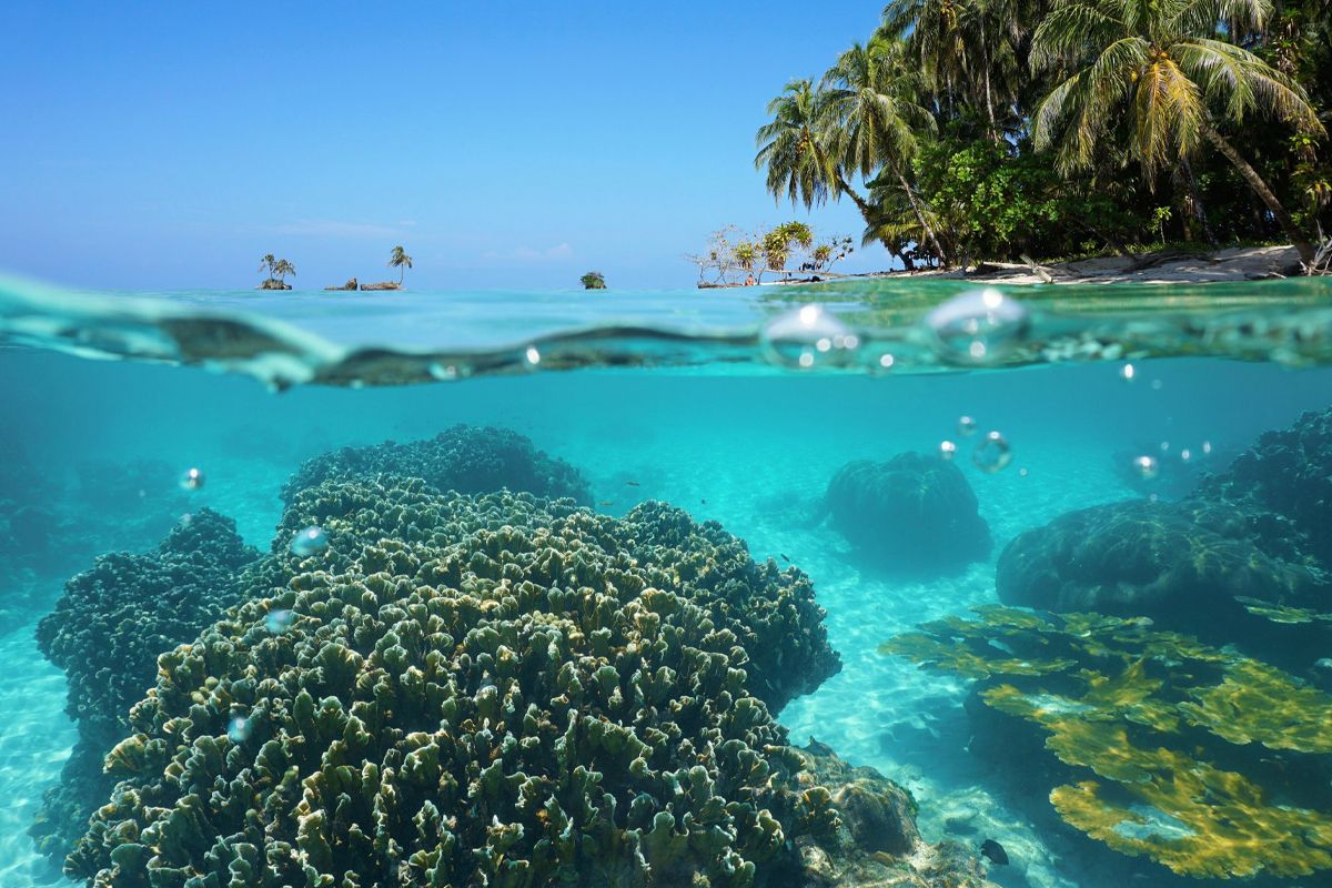 Visit Cahuita, a Chill Costa Rican Caribbean Paradise