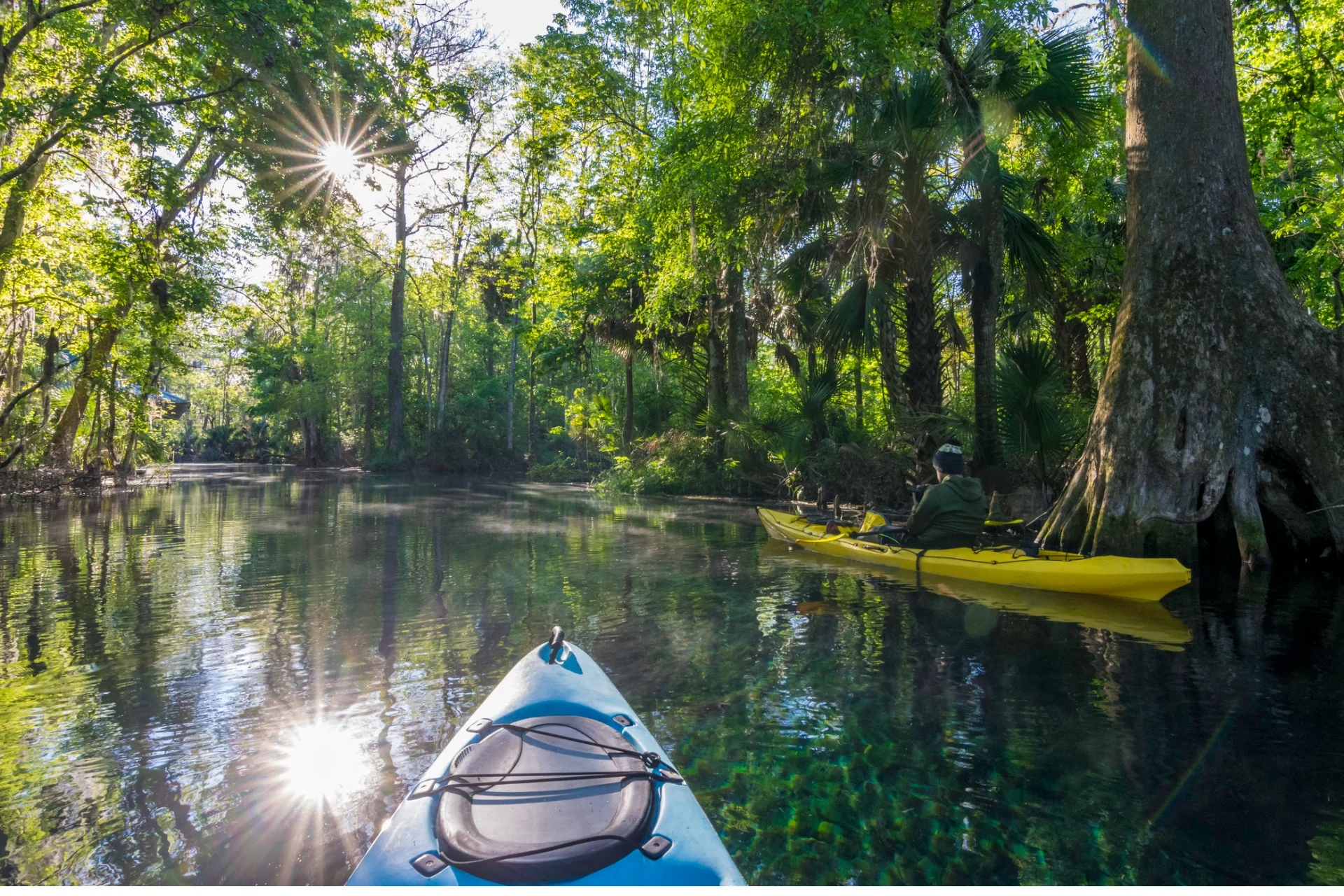 Where to Find Natural Springs in Florida - Vacayou Travel