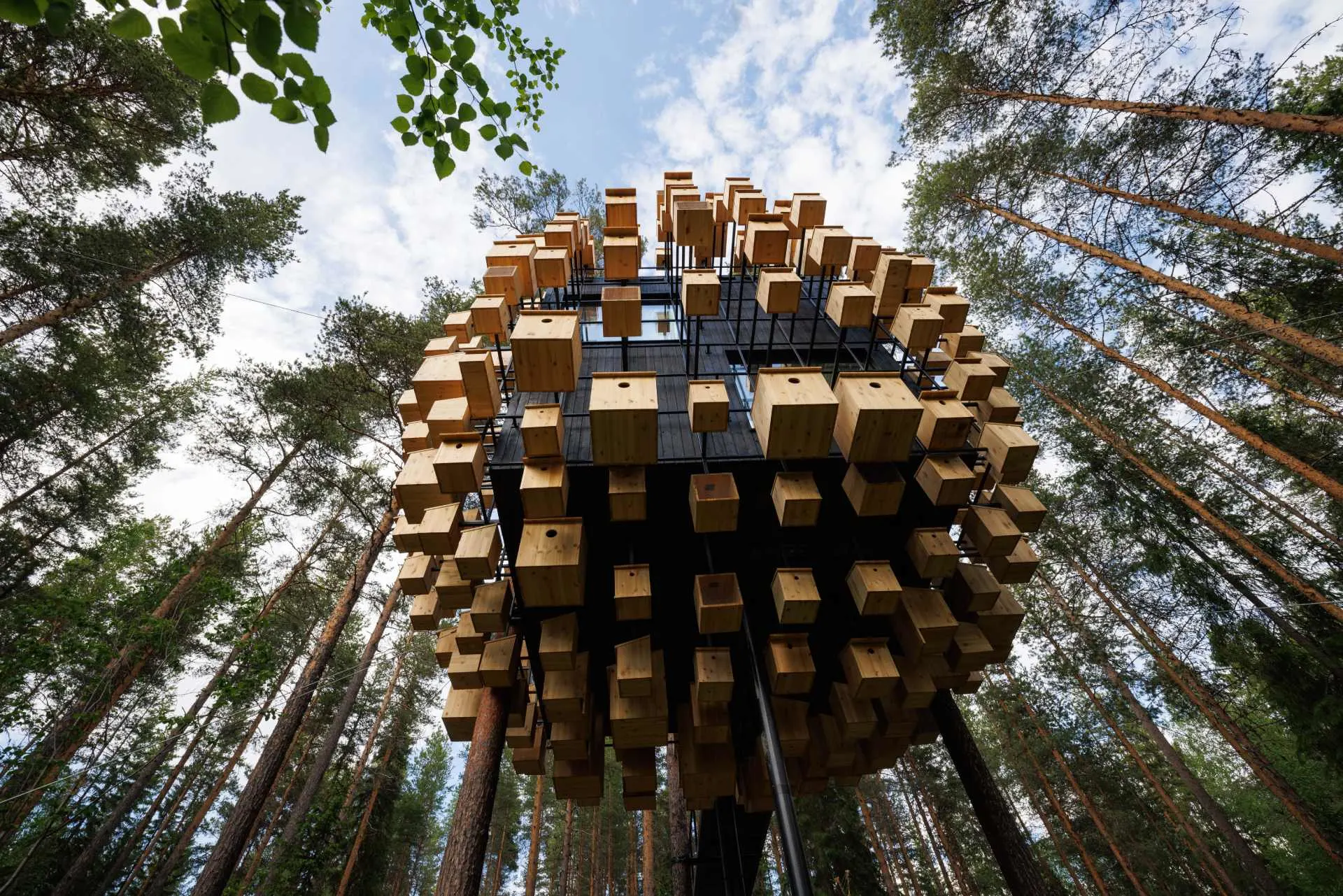 Branching Out: Play & Stay at These 9 Tree House Hotels - Vacayou Travel