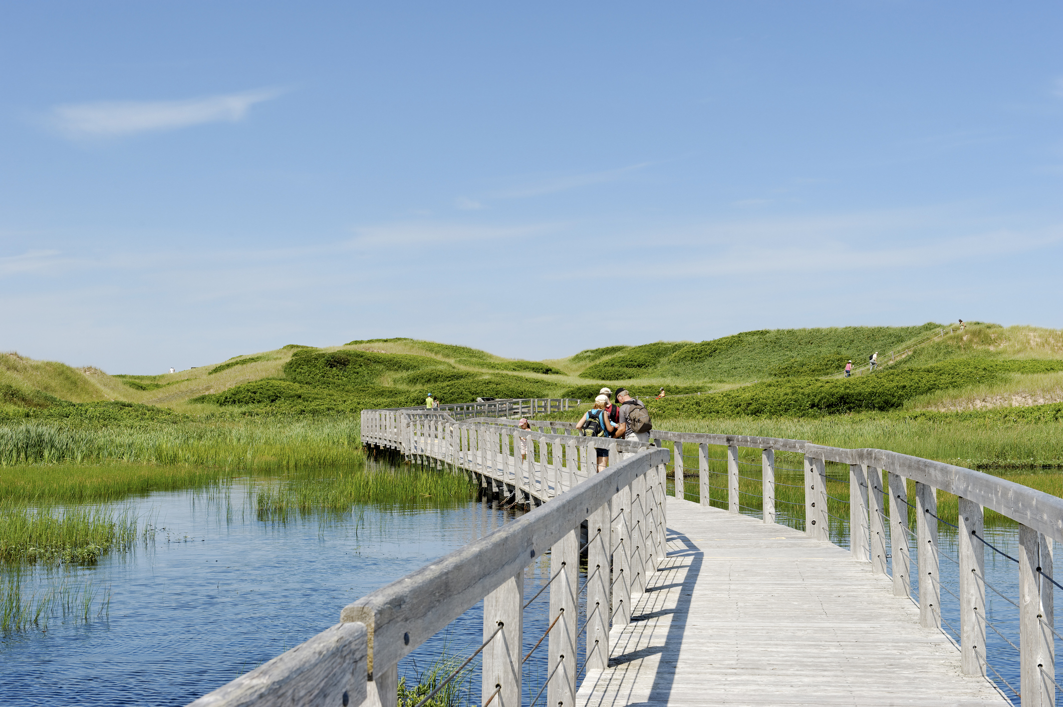 Walking Canada’s PEI Island Walk and Other Camino-Inspired Trails