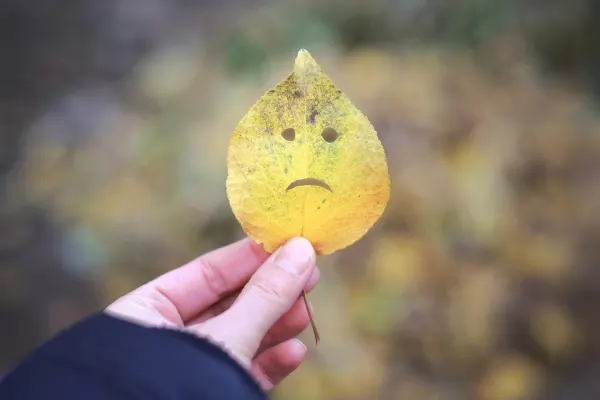 Experience the Spirit of Aloha on a Hawaii Island Retreat - Vacayou Travel