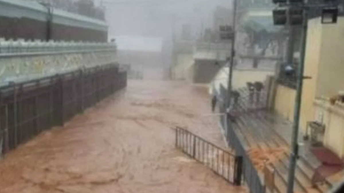 17 dead and over 100 missing in floods in Andhra Pradesh | News | POST ...