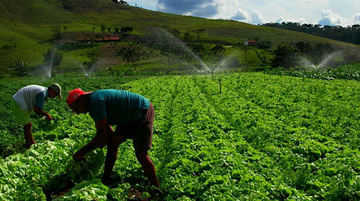 Angola to cut VAT from 14 to 7 pct | Politics | POST Online Media