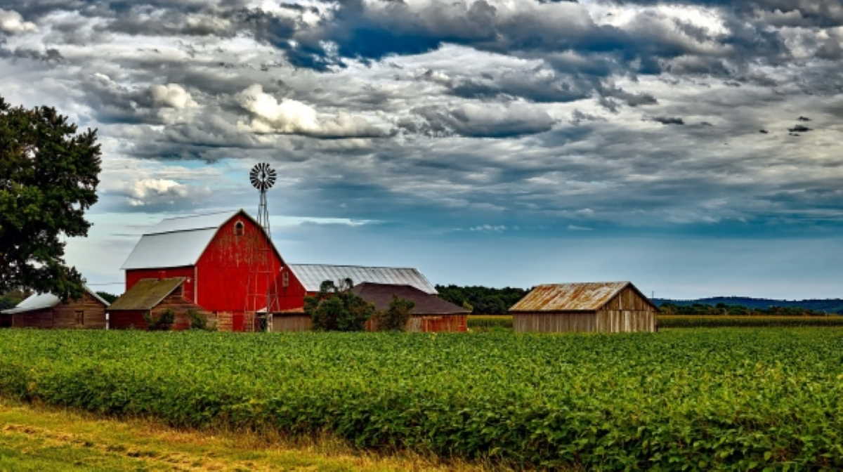 Canadian farmers increased income in 2020 | Agrifish | POST Online Media