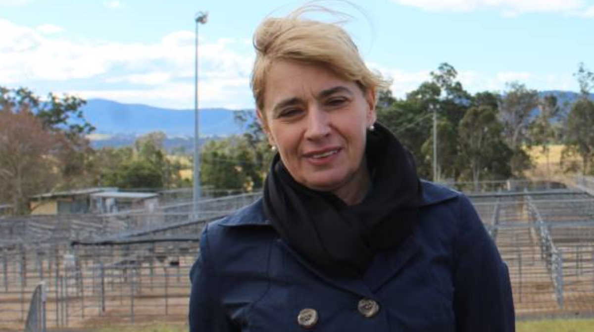 UK: Bird flu identified at wildbird rescue centre in Worcestershire ...