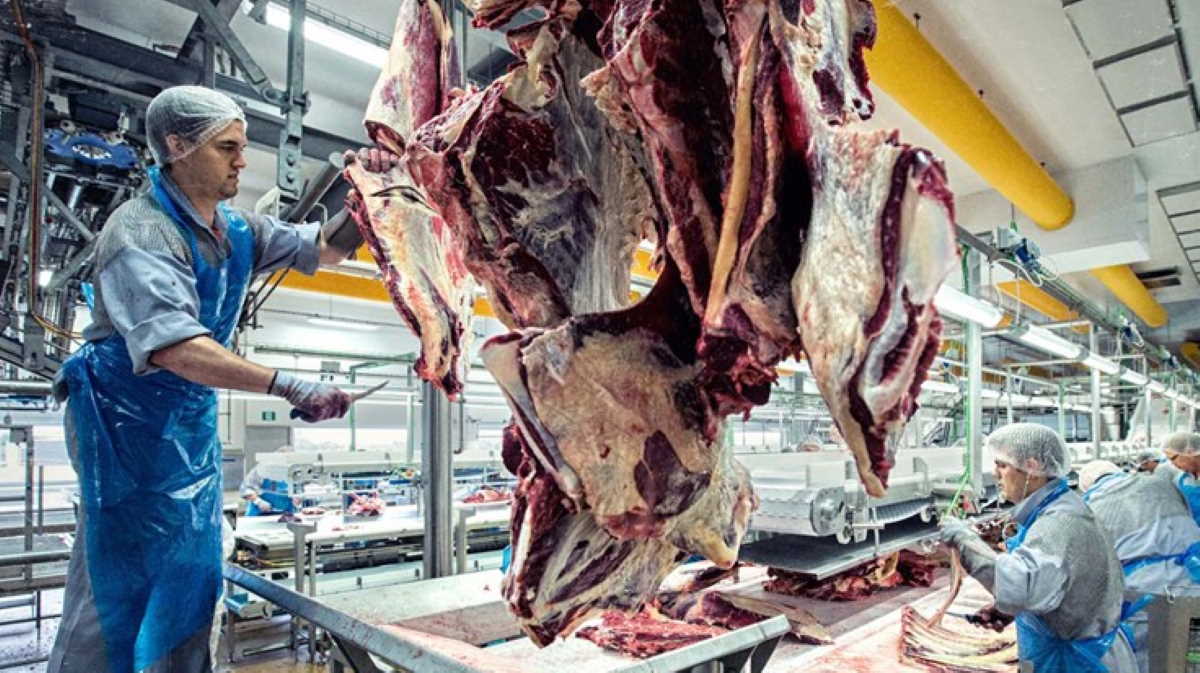 Danish Crown Beef has hit the ground running in financial year ...