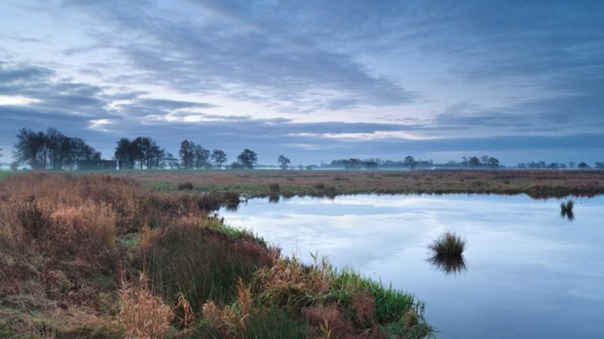 $823 million to improve Danish aquatic environment | Politics | POST ...