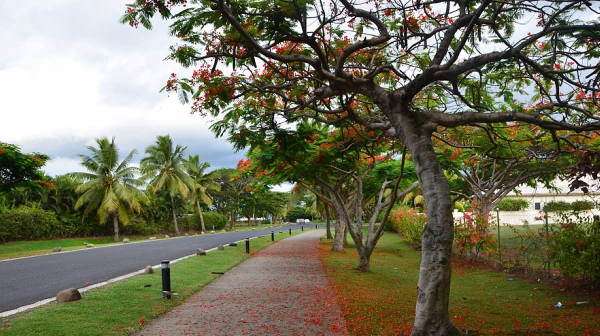 Fiji: International border to open next month | News | POST Online Media