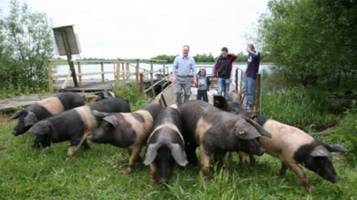 Ireland unveils nearly €10bn agriculture plan | Agrifish | POST Online ...