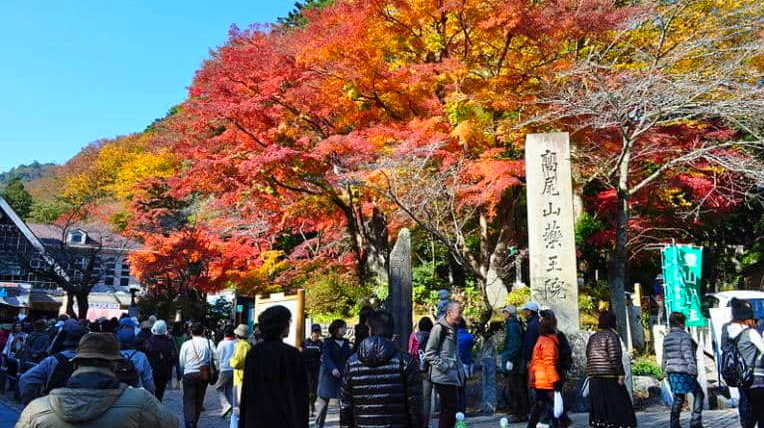 Enjoy Mount Takao Autumn Leaves Festival and beautiful autumn colors near Tokyo | Travel | POST ...