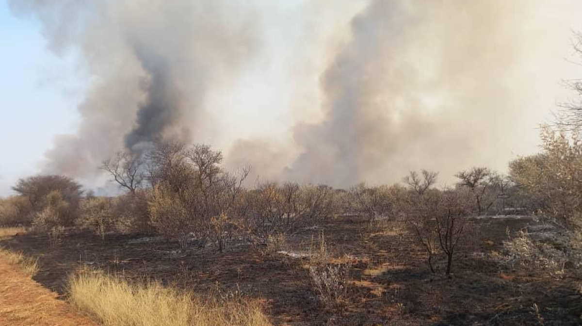 Veld fires in Namibia burn farms, kill animals | News | POST Online Media
