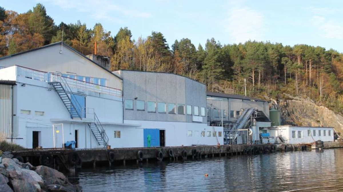 Norwegian manufacturing turnover increases in the last three months ...