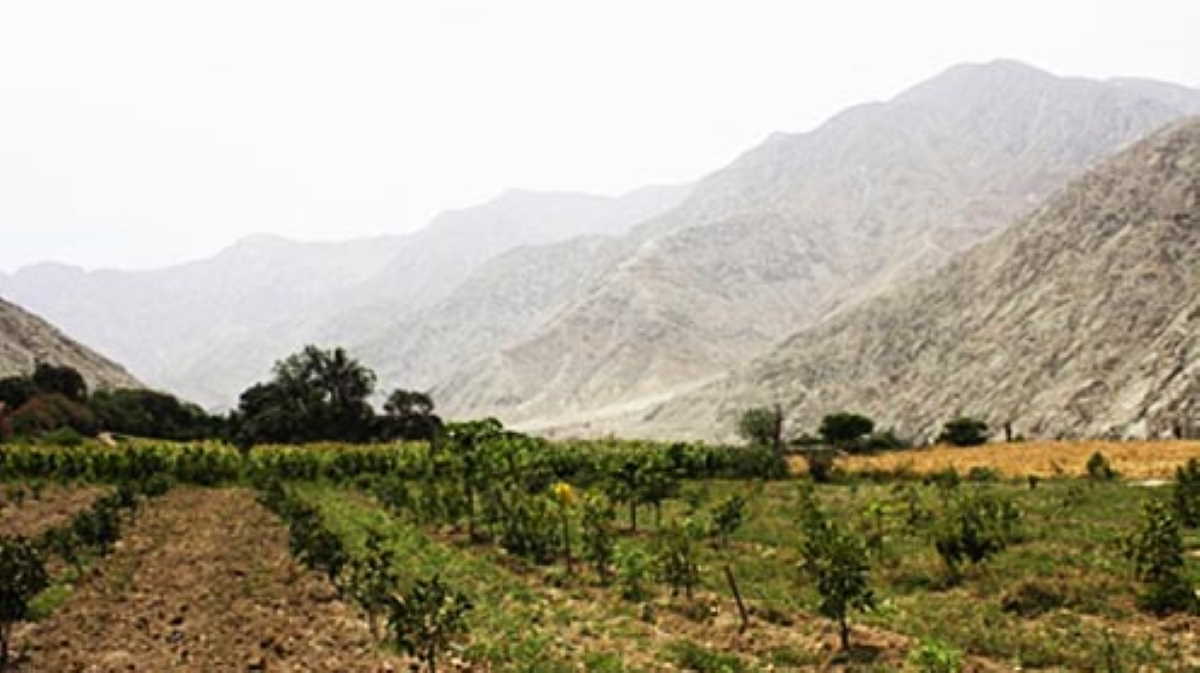 Peru underway to become major world food supplier | Agrifish | POST ...