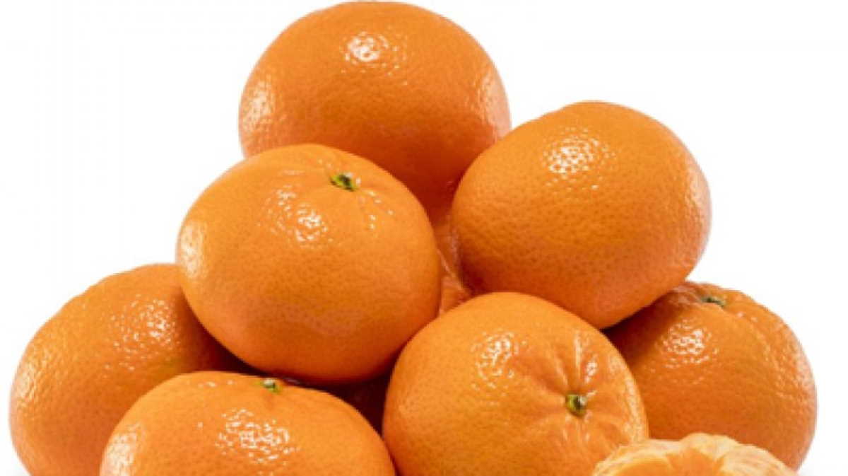 South Africa again exports more fruit in 2021, mandarin exports 30% ...