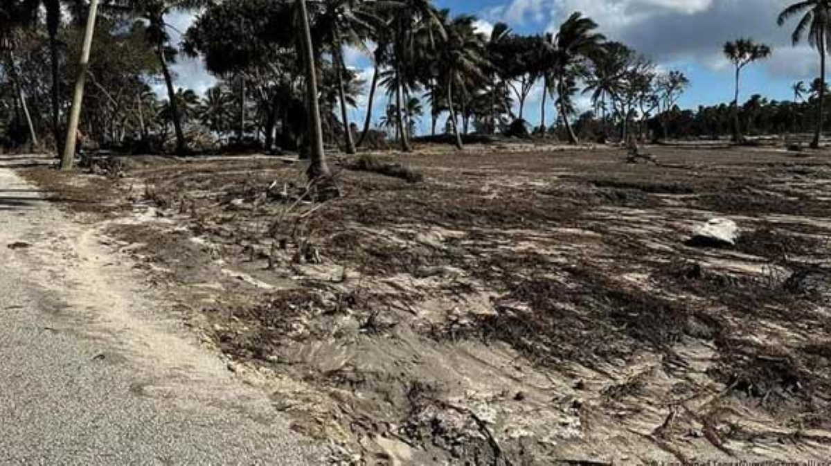 Tonga faces shortage of food and water, over 80% of population affected ...