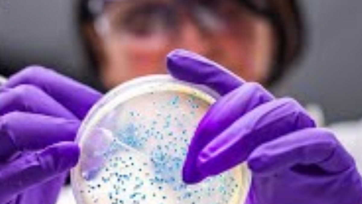 Hansa Biopharma announces positive reimbursement decision for Idefirix ...