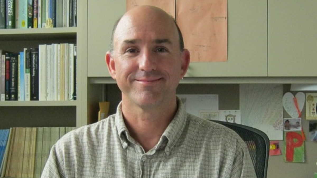 Virovore: Organism that eats viruses discovered | Meantime | POST ...