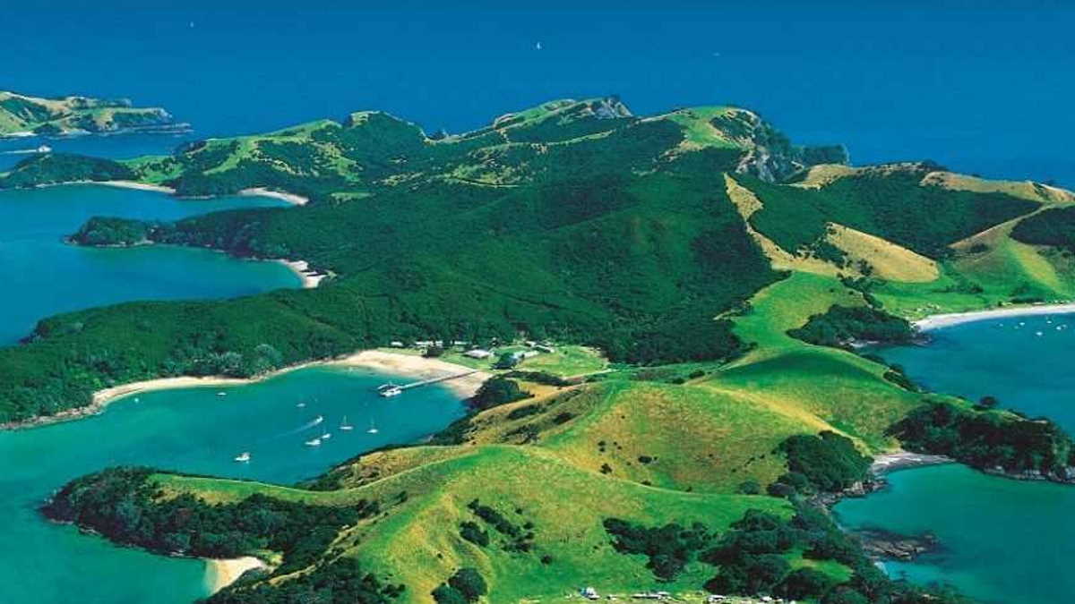 5.1-magnitude earthquake hits New Zealand's North Island | News | POST ...