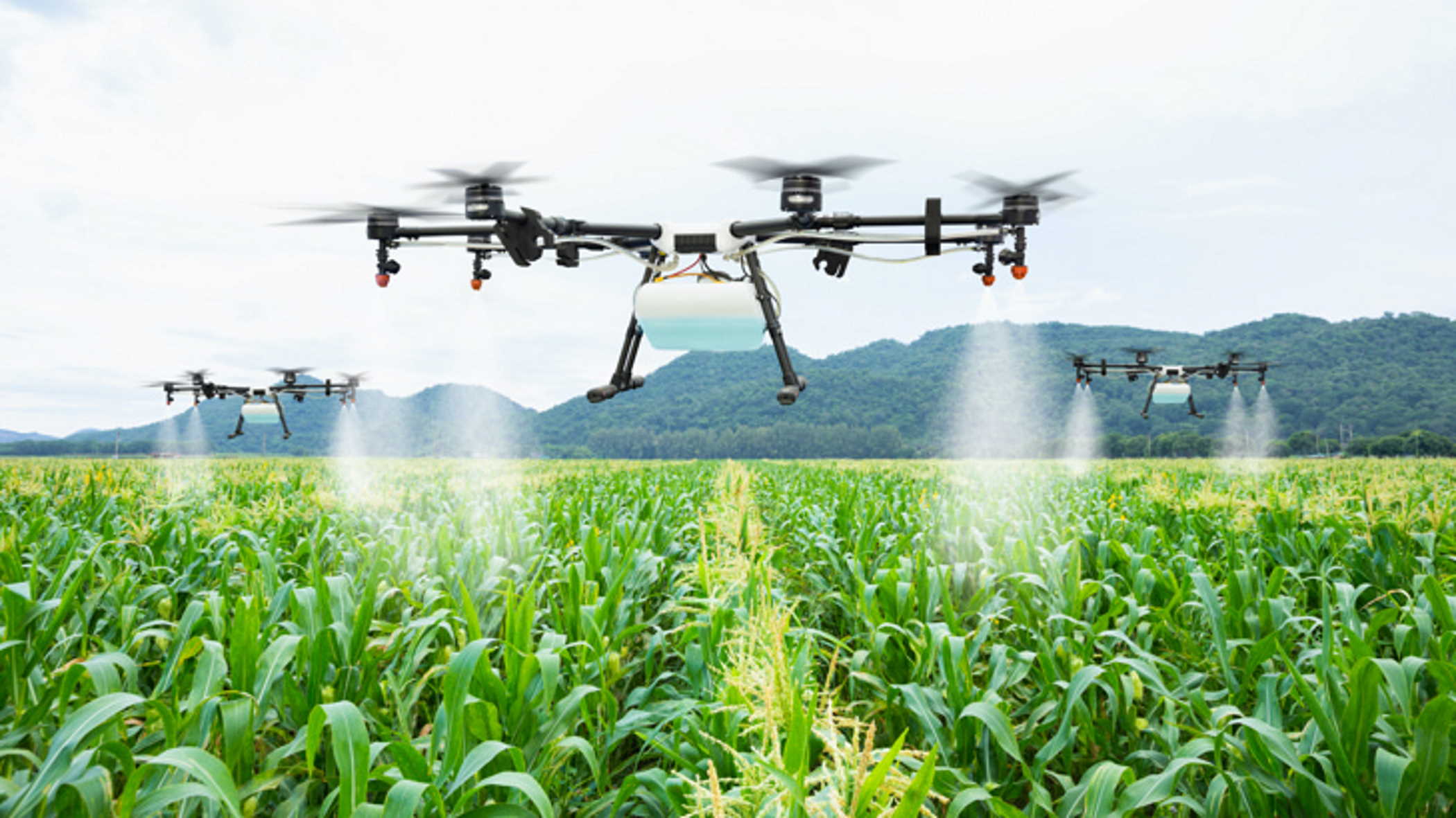 Precision agriculture to reach $19.72 billion | Agrifish | POST Online ...