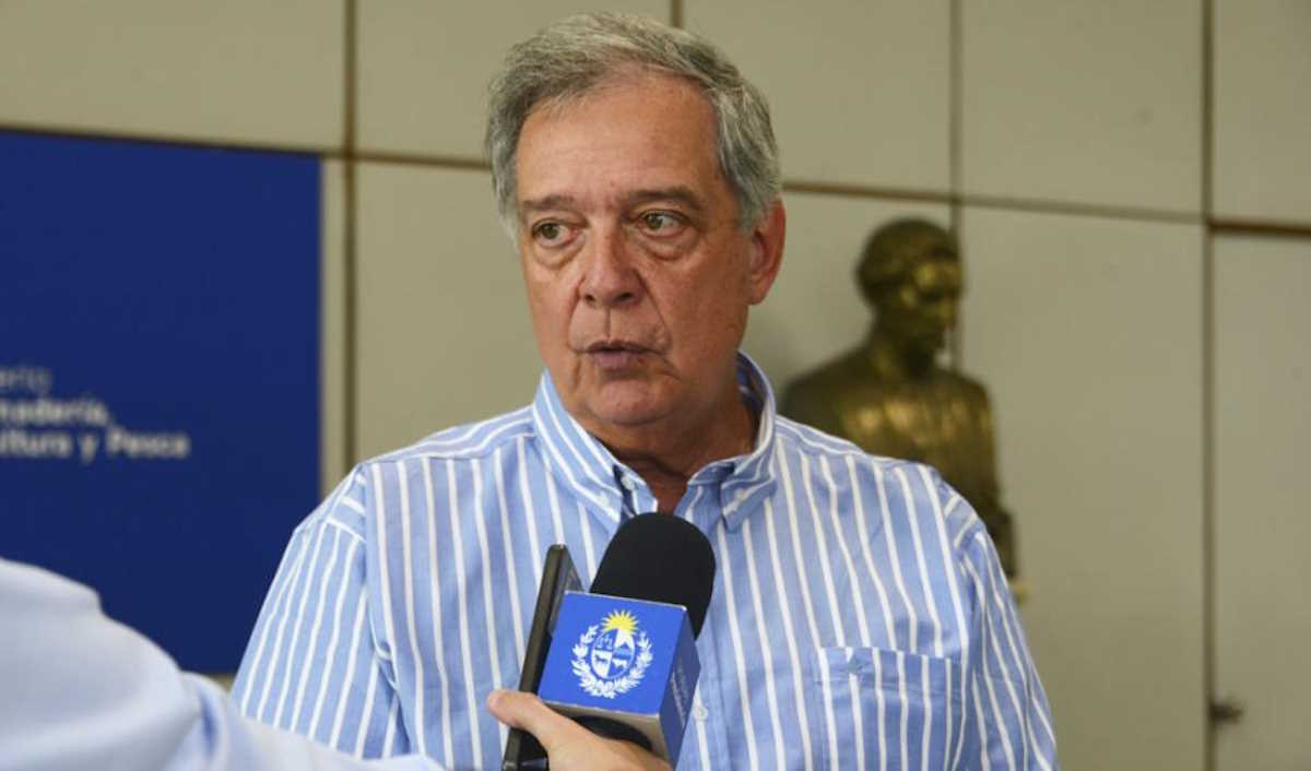 Uruguay: Agricultural emergency will continue only for horticultural ...