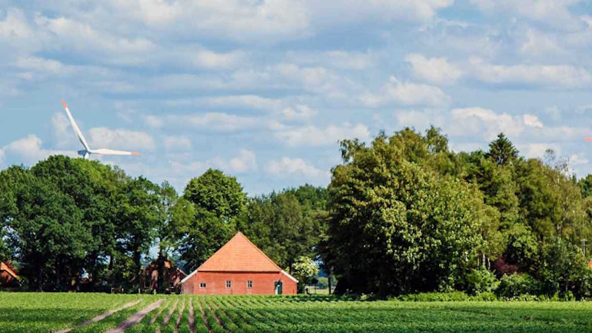 Area under organic farming in Netherlands up by nearly 9 percent ...